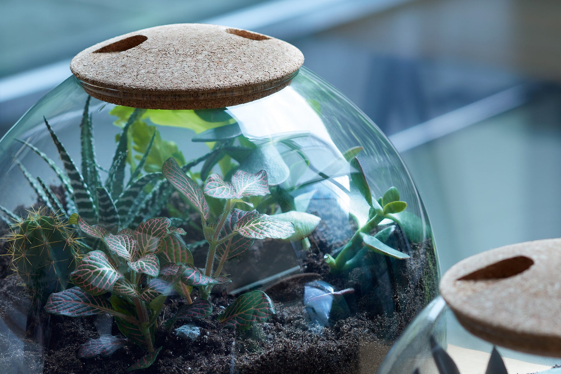 Brand Spotlight: LSA International: Who are they, what do they make, a