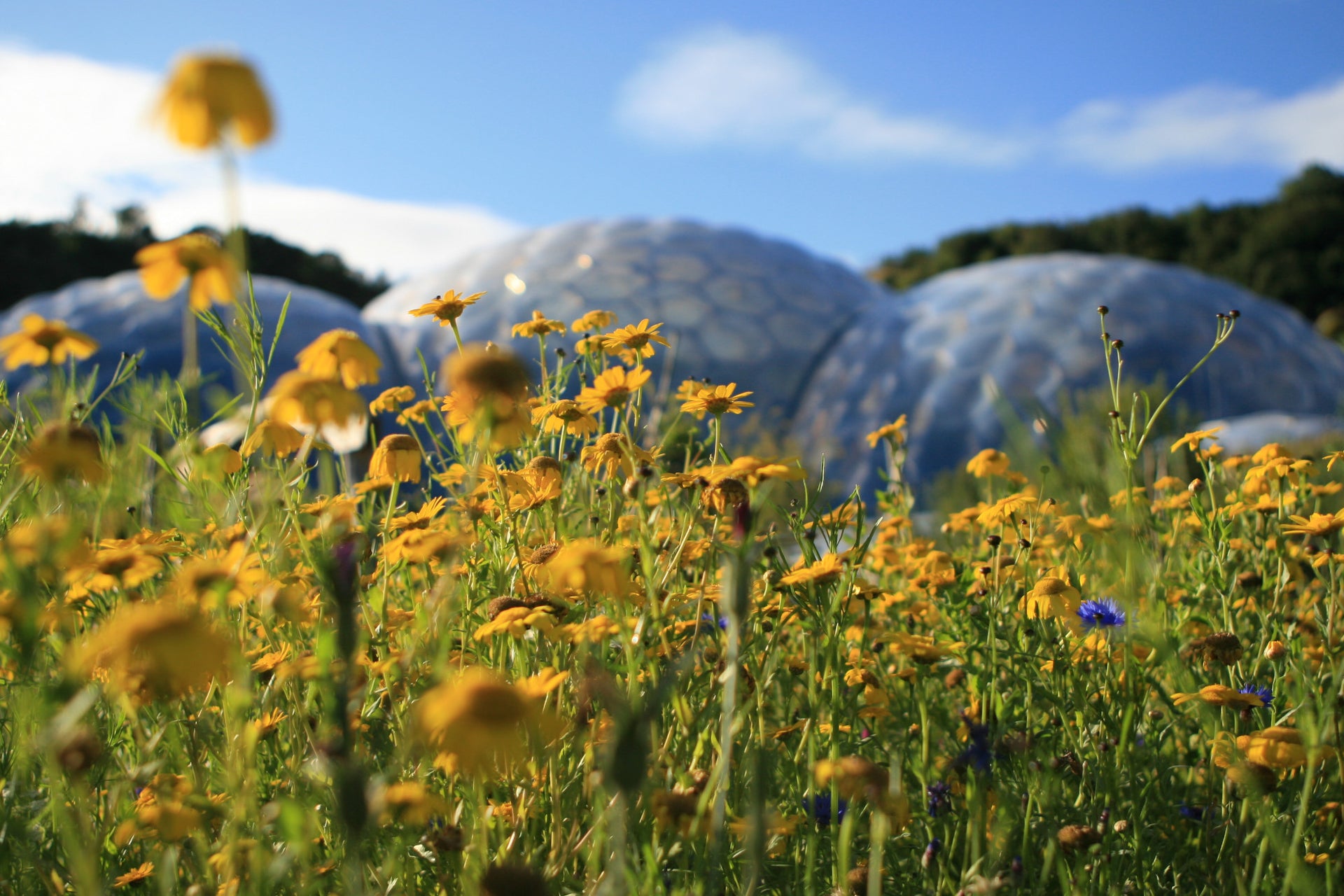 Explore the reimagined Eden Project Shop