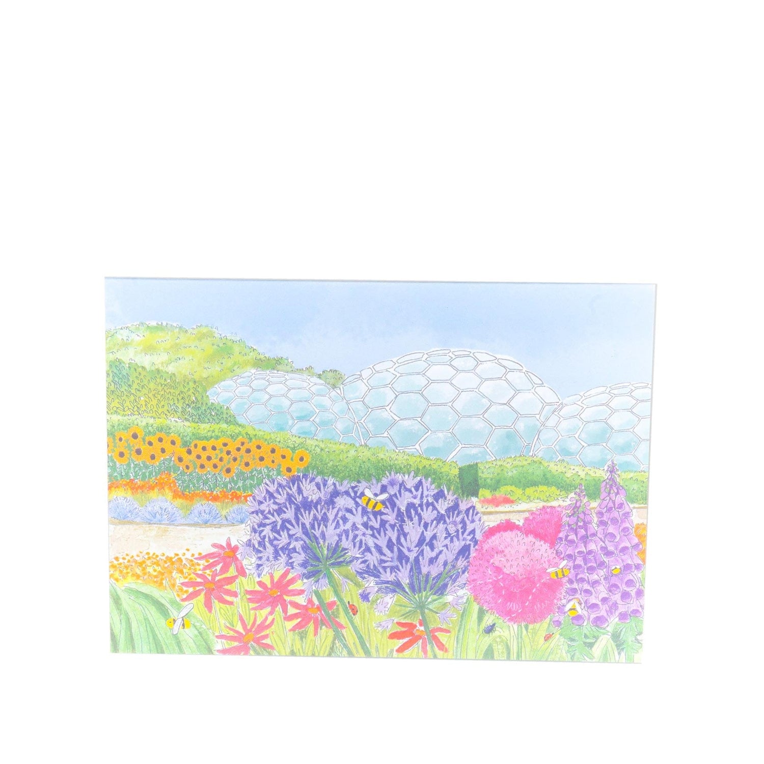 Eden Project biomes and bees card