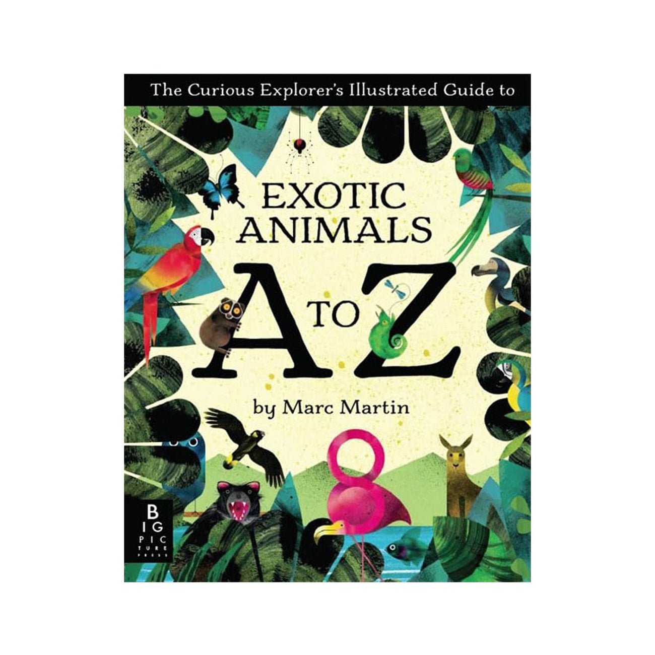 Curious Explorers Illustrated Guide to Exotic Animals