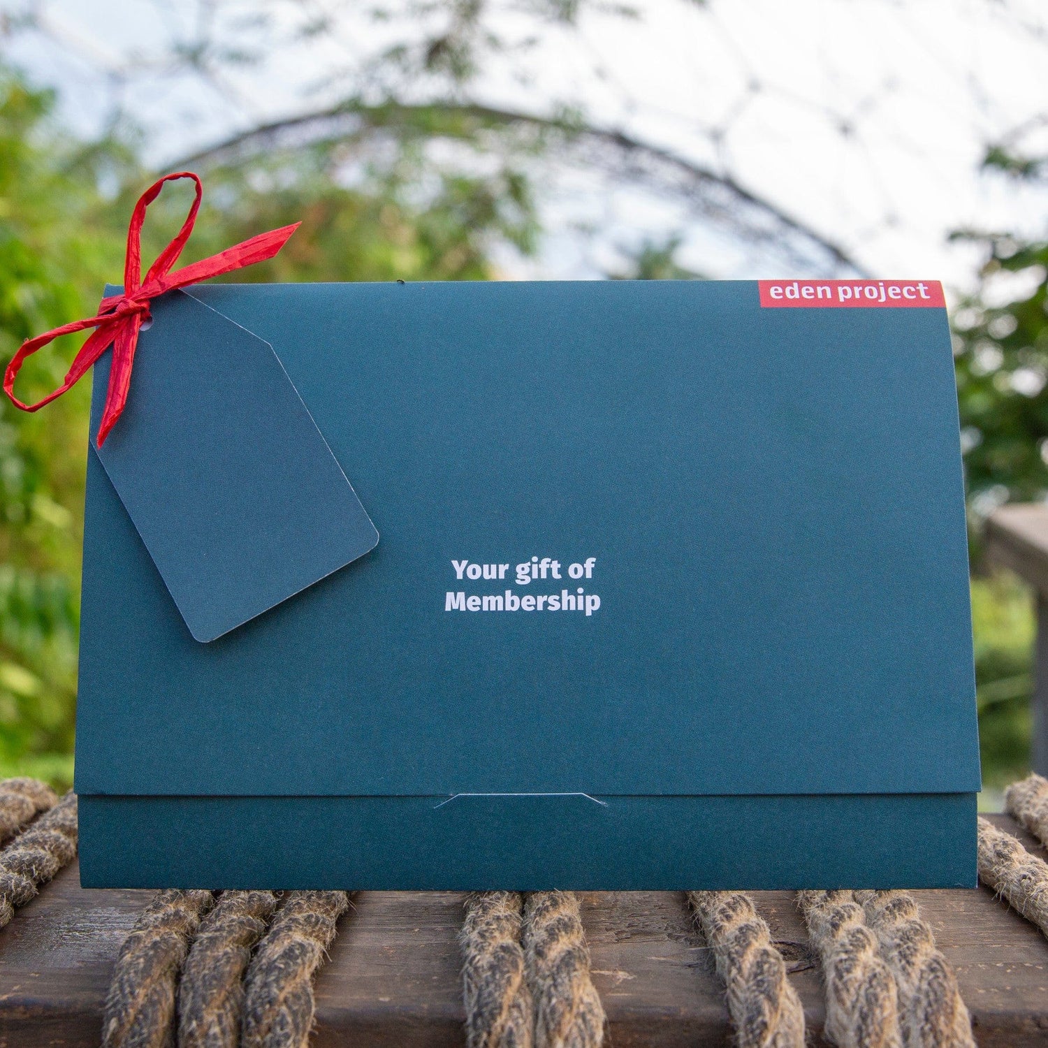 Gift Membership - Individual 60+