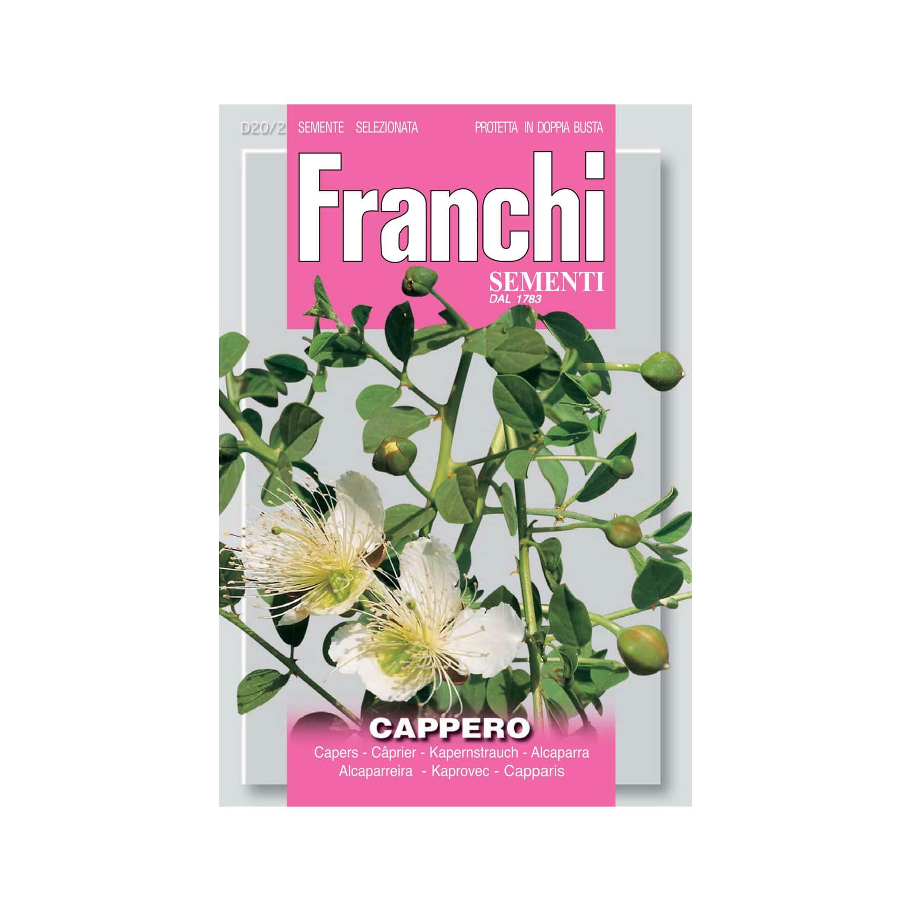 Caper Plant
