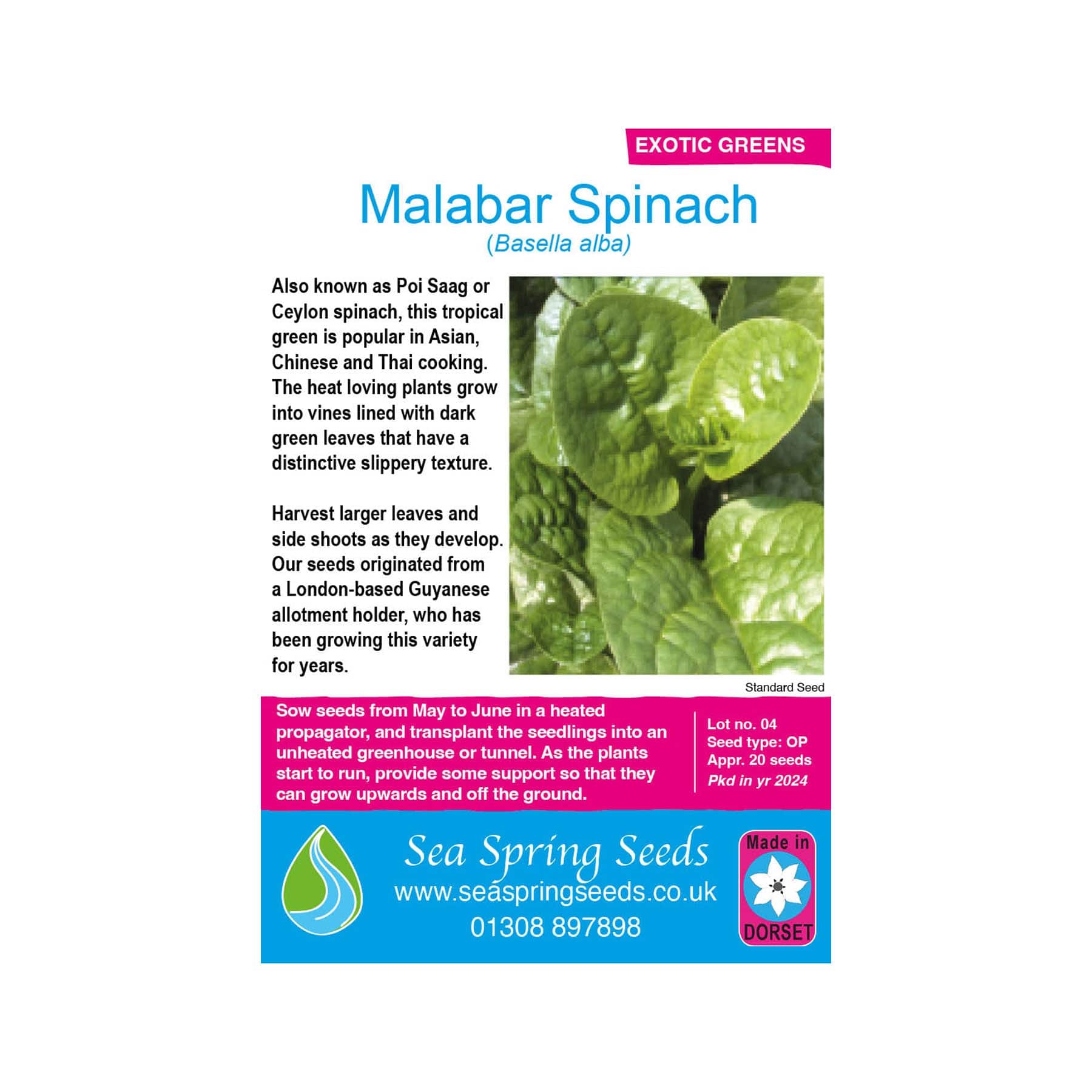 Malabar spinach seeds