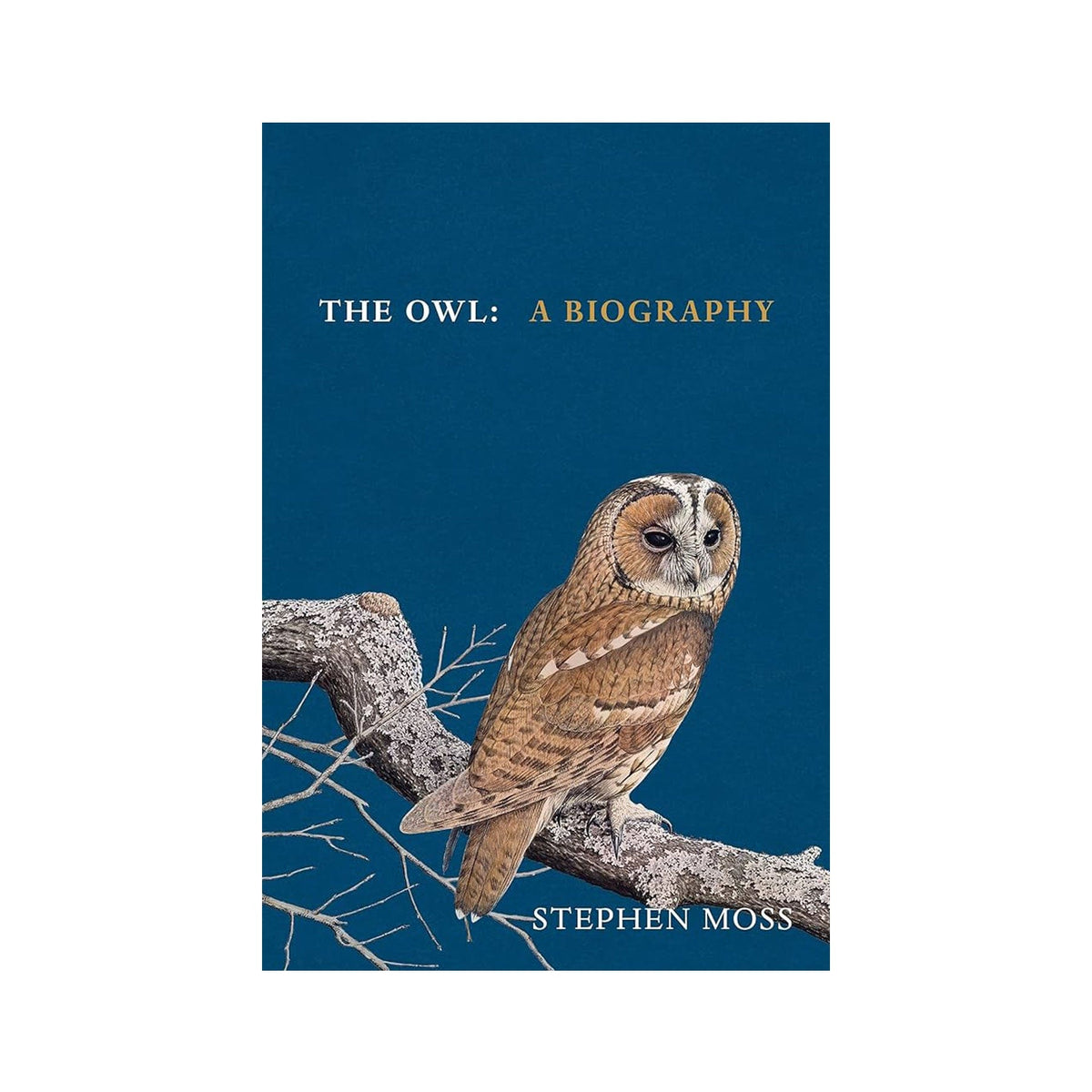 The owl: A biography