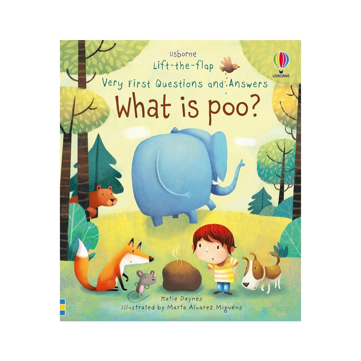 What is poo?