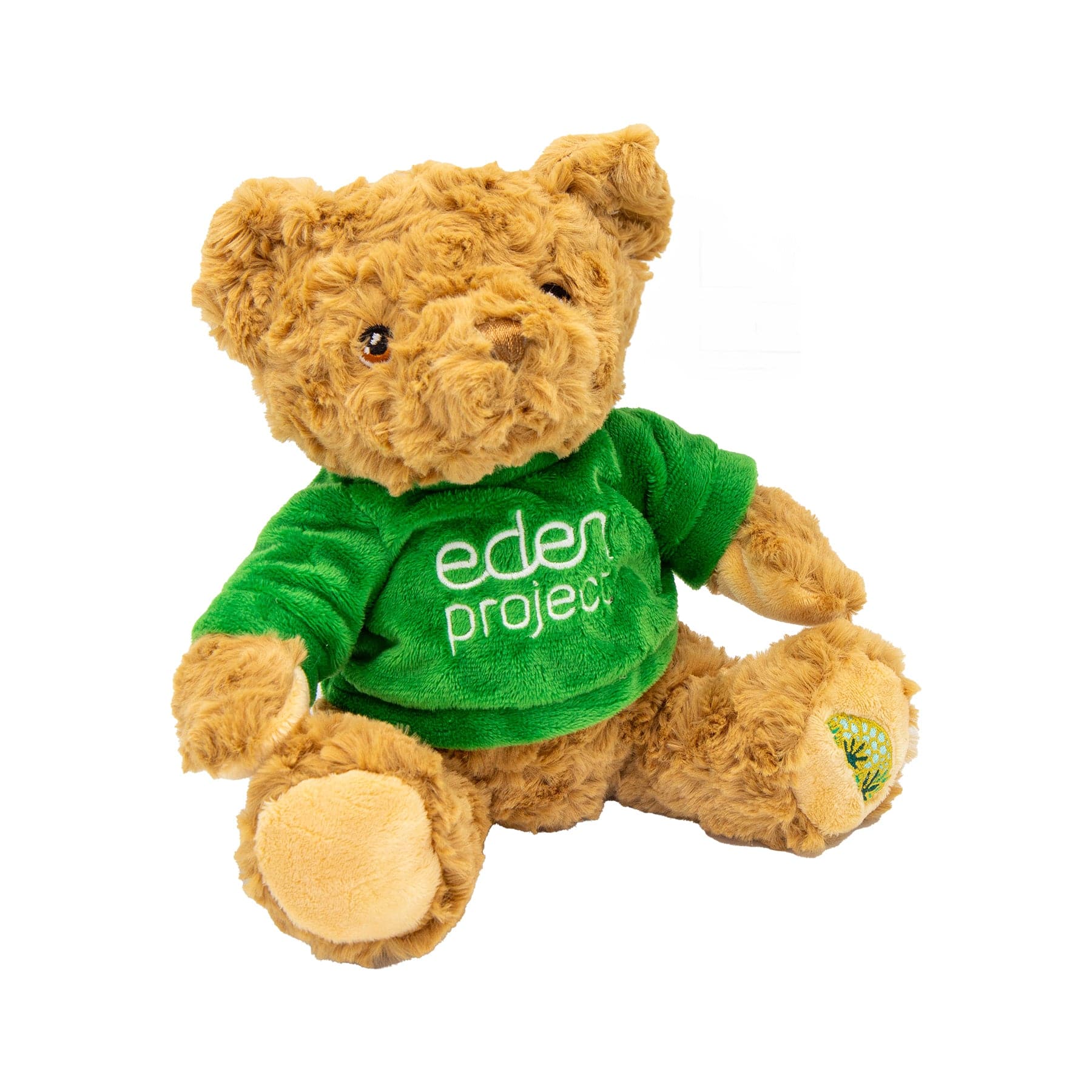 Eden Project Teddy Bear 20cm